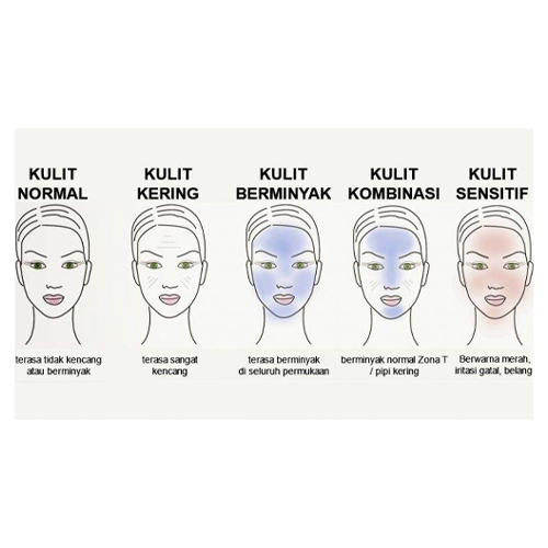 Perawatan Kulit Korea untuk Berbagai Jenis Kulit - Vanav Indonesia